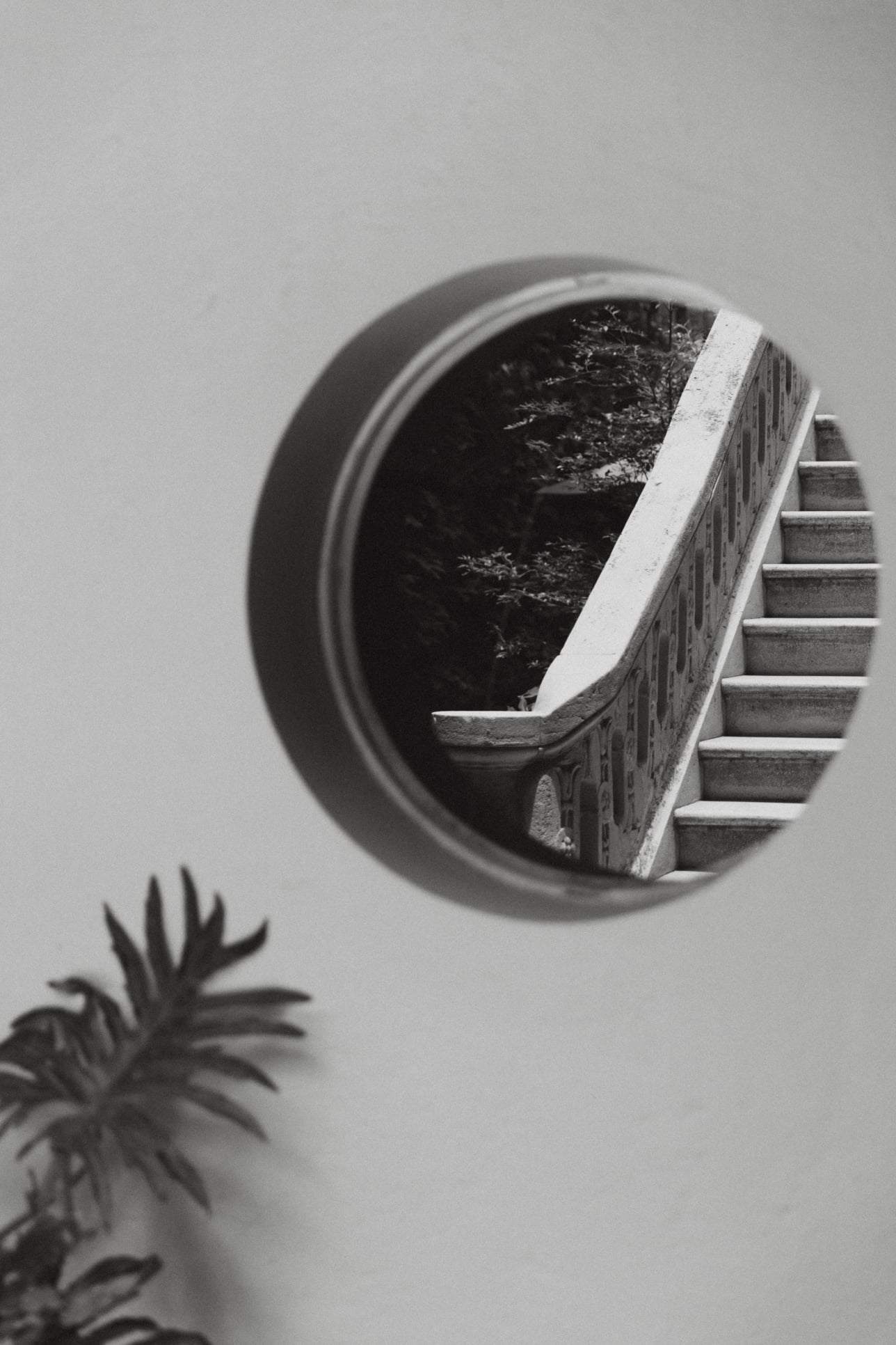 CASA SEIS SIETE CDMX